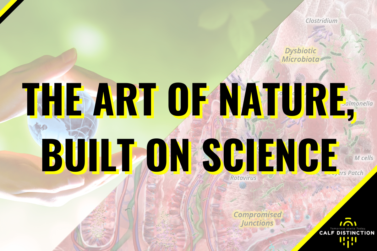 The Art of Nature, Built on Science – Calf Distinction