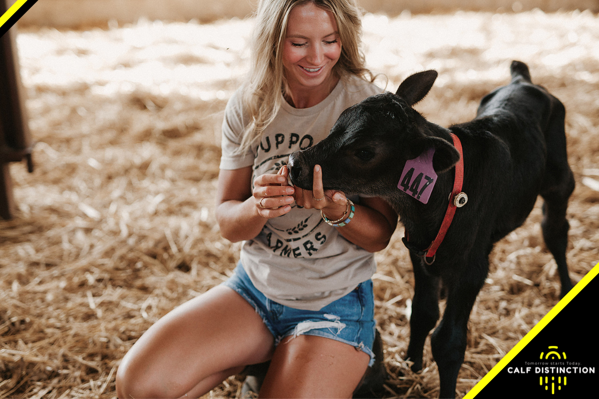 Connecting with Consumers - Interview with Emily Matzke – Calf Distinction