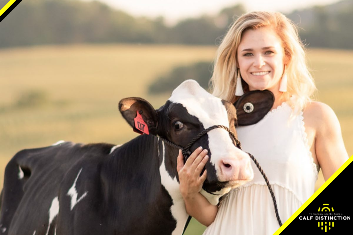Acidified Milk Feeding with Jenna Facer - Calf and Young Heifer Manage ...