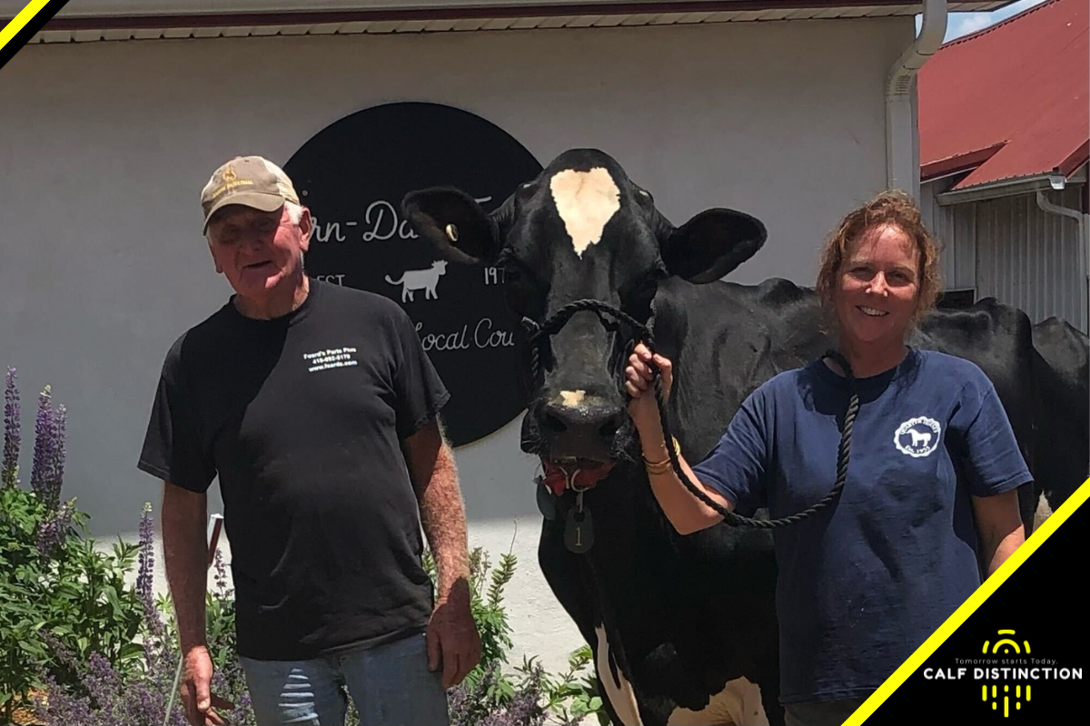 Transitioning to Cooler Weather - Interview with Jennifer Trout, D.V.M ...