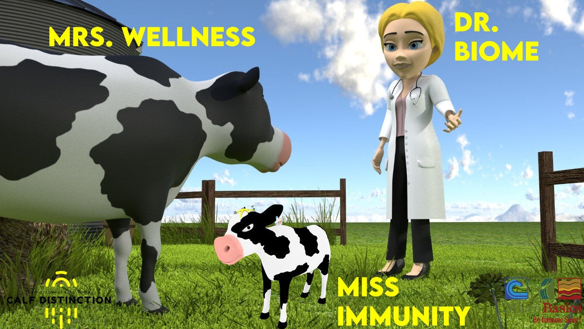 Calf Distinction Family Introduction